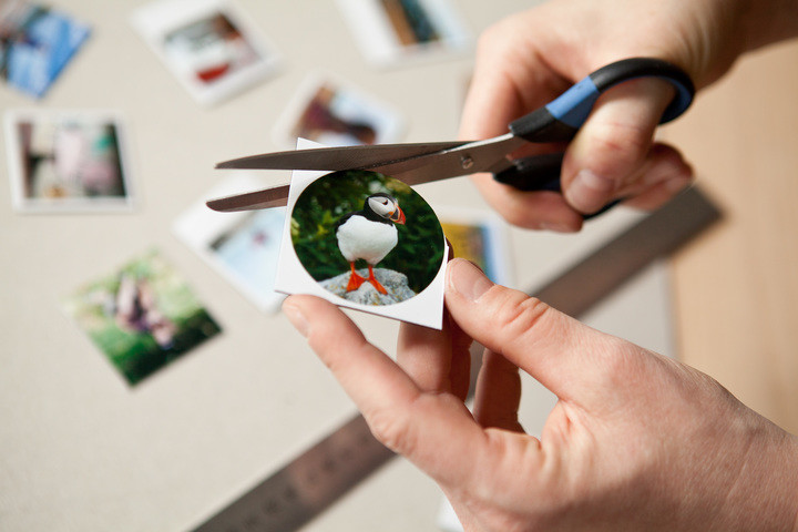 DIY: How To Easily Make Photo Magnets At Home? | Squared.one