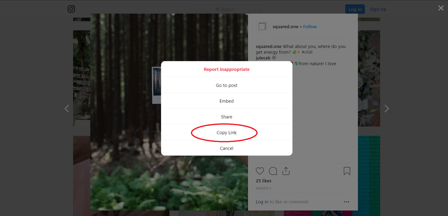 How to easily download photos from Instagram | Squared.one