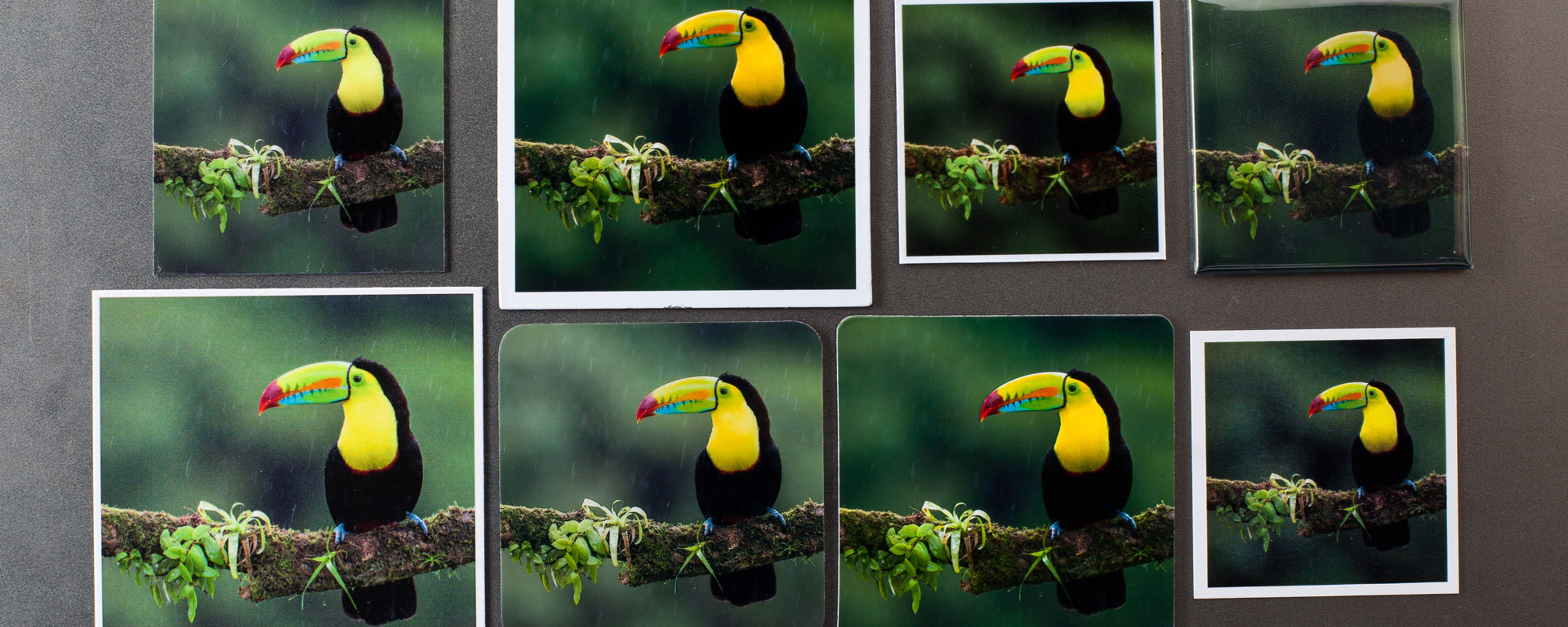 Review: Who Makes The Best Photo Magnets | Squared.one