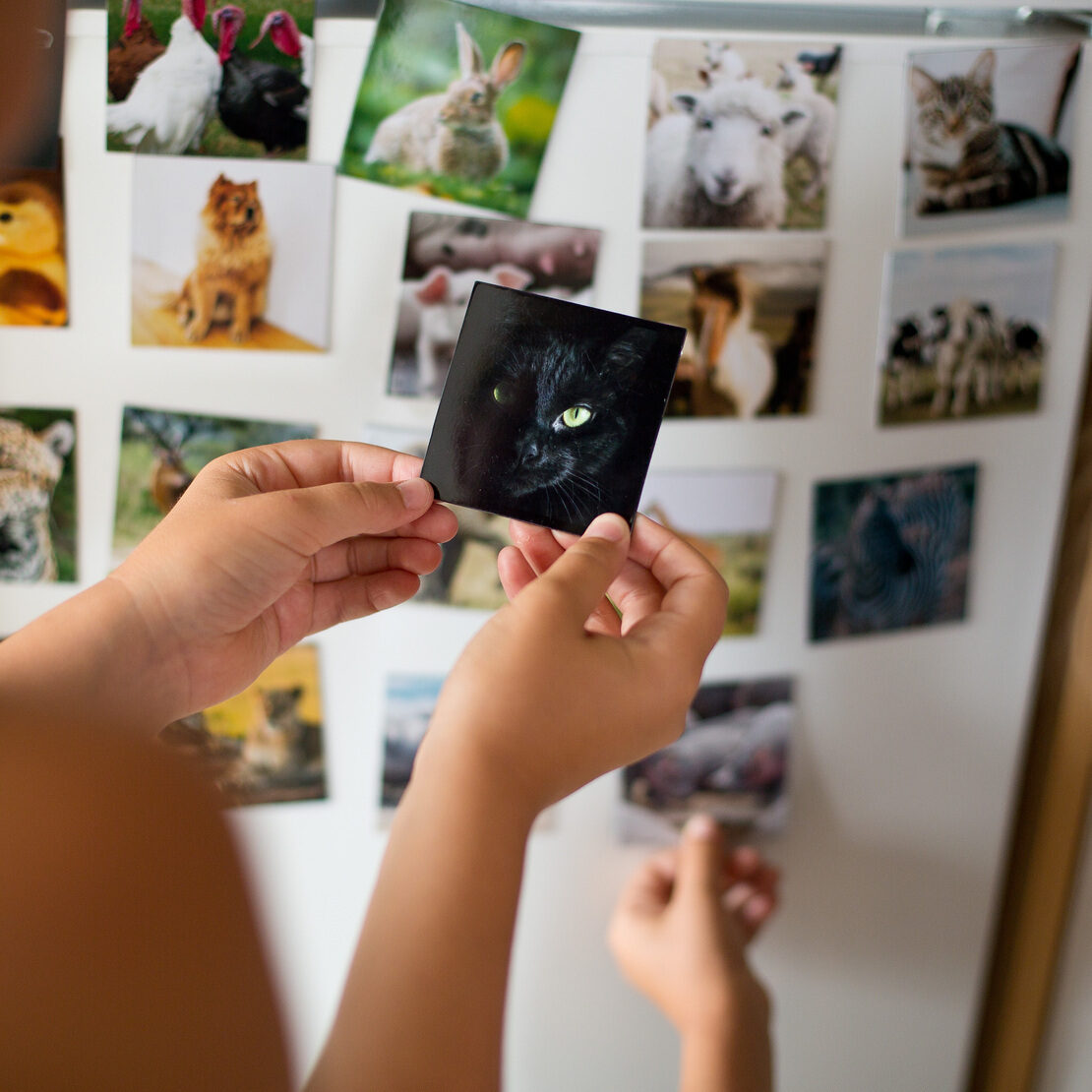 Photo magnets | Print photos on fridge magnets | Squared.one